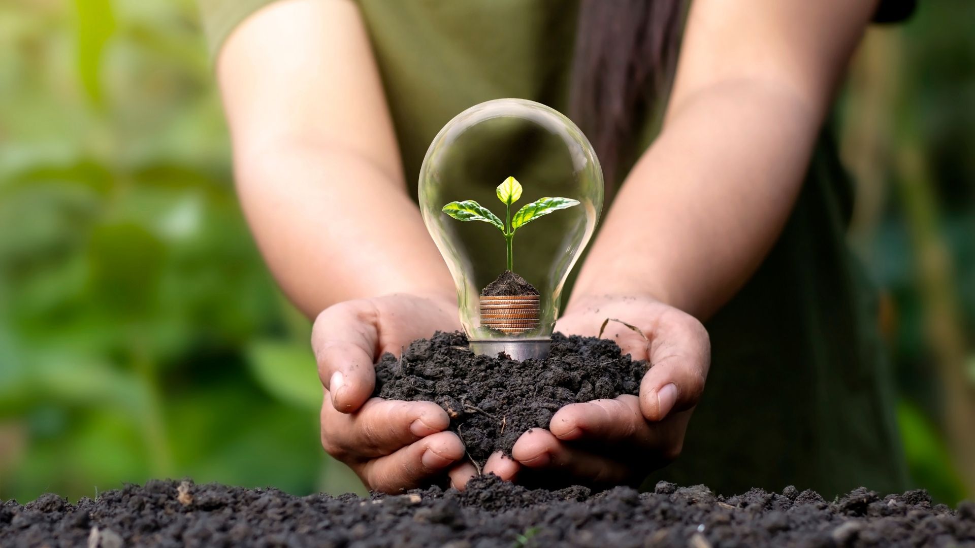 Klimaneutralität - www.Energieverband-nordwest.de